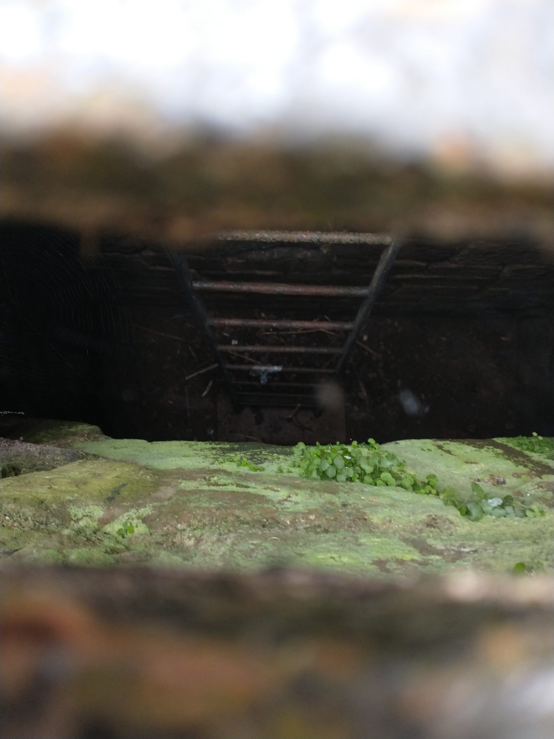 Pit Prisons and the Bottle Dungeon - VEH Masters - author of historical ...